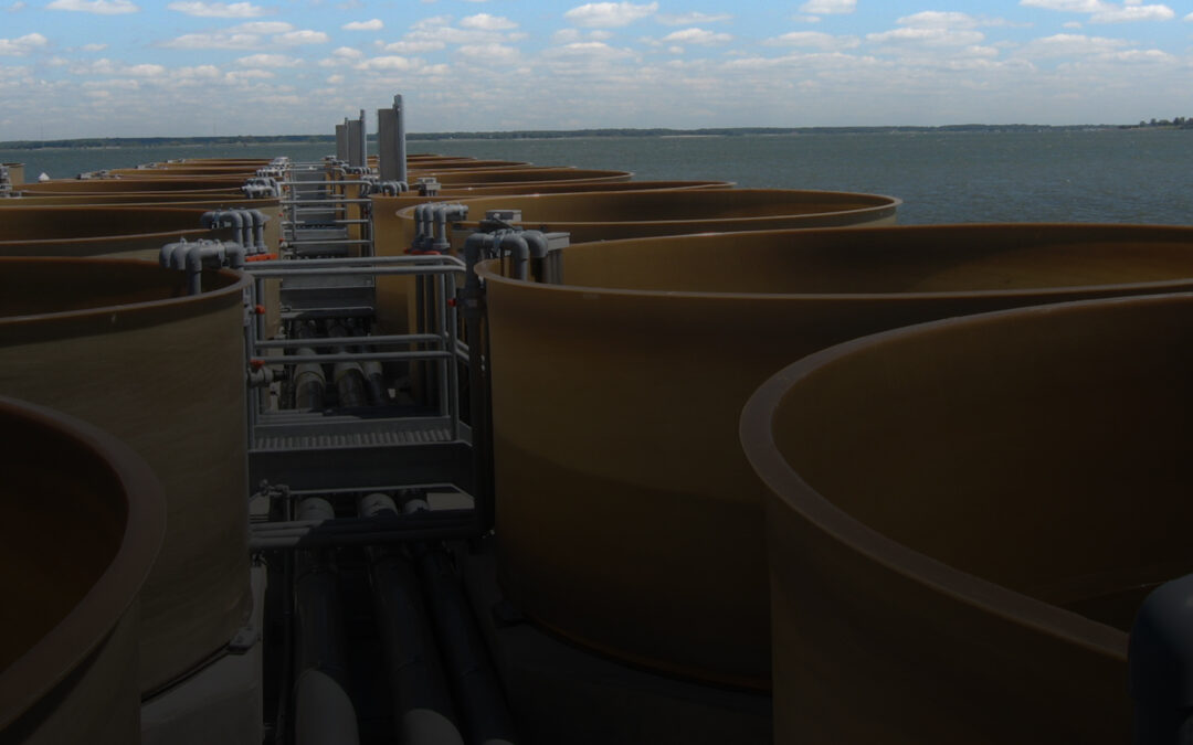 Oyster Pier Header Image with Gradient - Ammon Heisler Sachs Architects ...